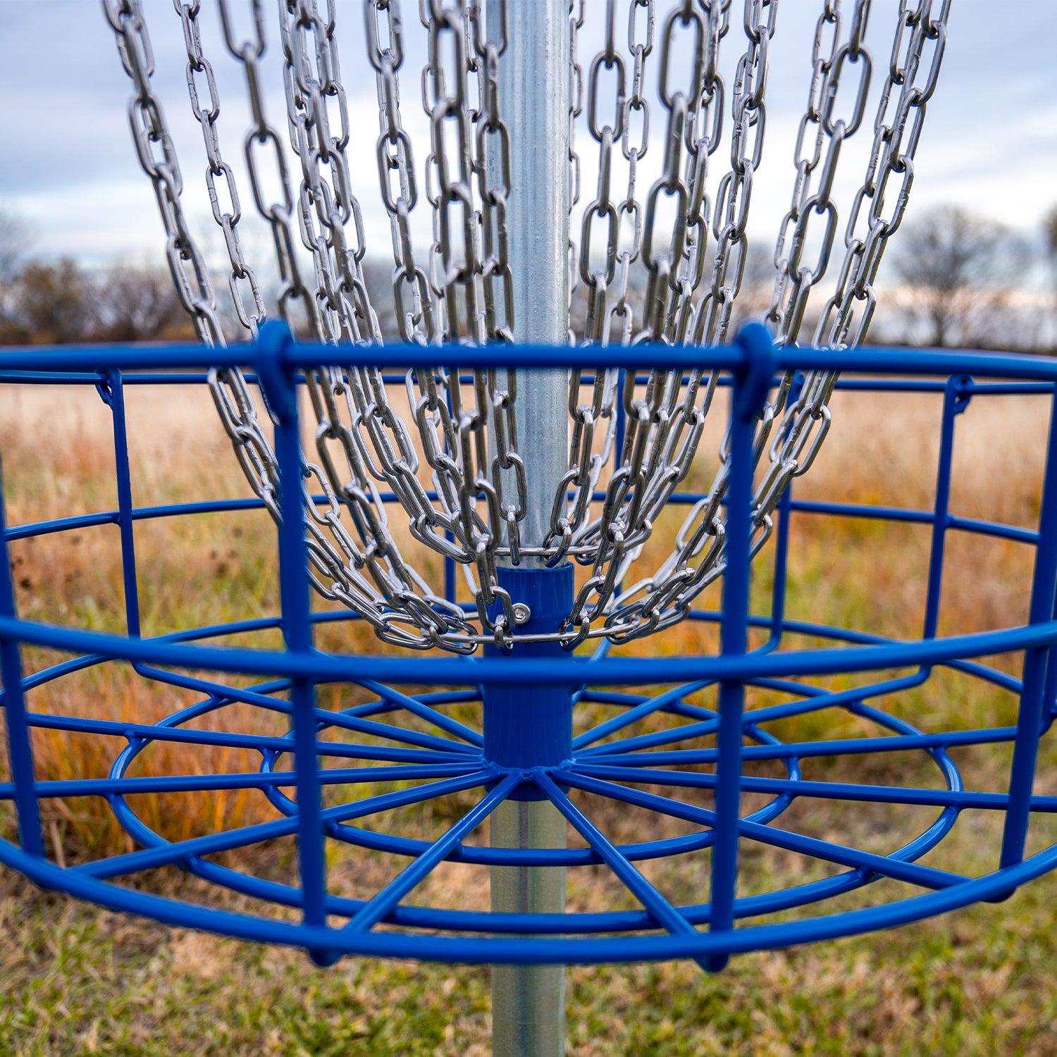Veteran Disc Golf Basket – Dynamic Discs